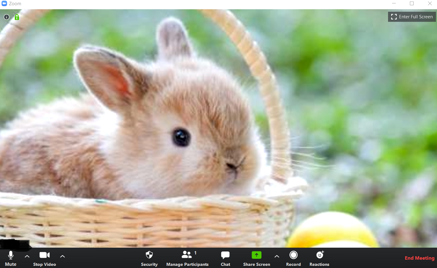 Springboard's guide to Zoom: The basics | Springboard Trust