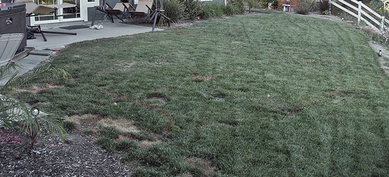 Turf Installation by System Pavers