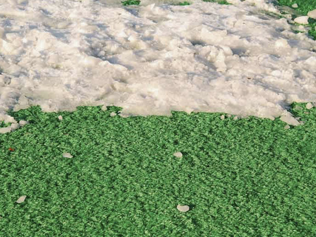 Turf Installation by System Pavers