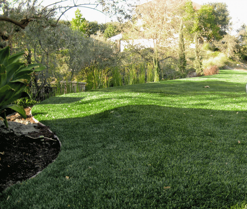 5 Backyard Tailgating Do's And Don'ts