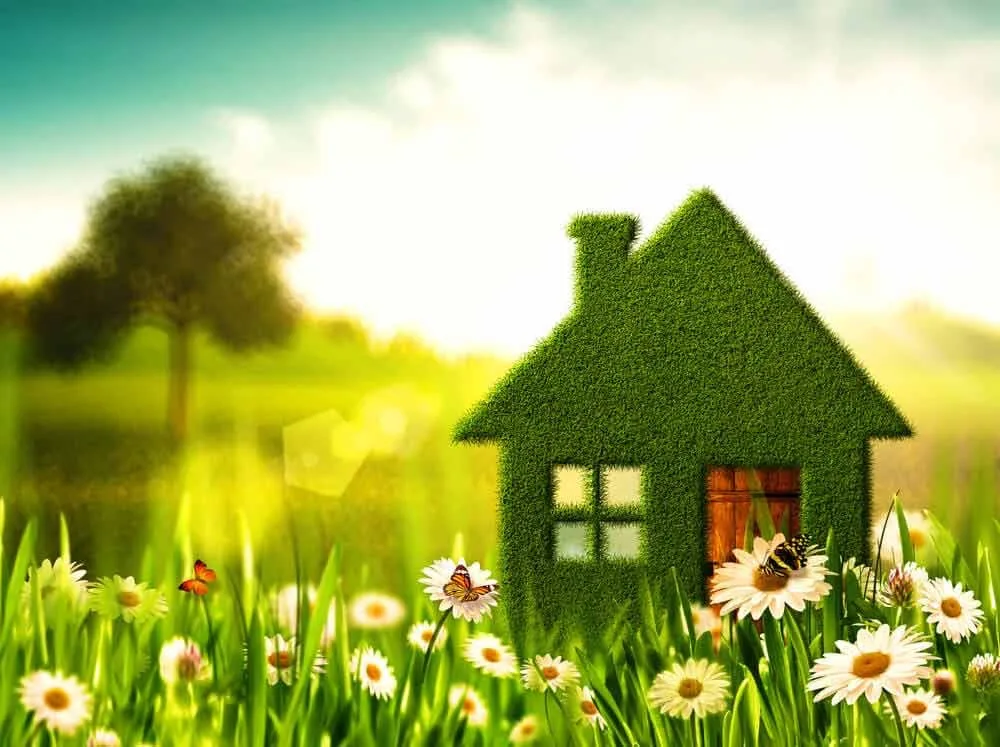 3 Ways To Go Green At Home