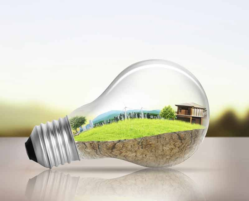 How To Reduce Your Carbon Footprint For Earth Day