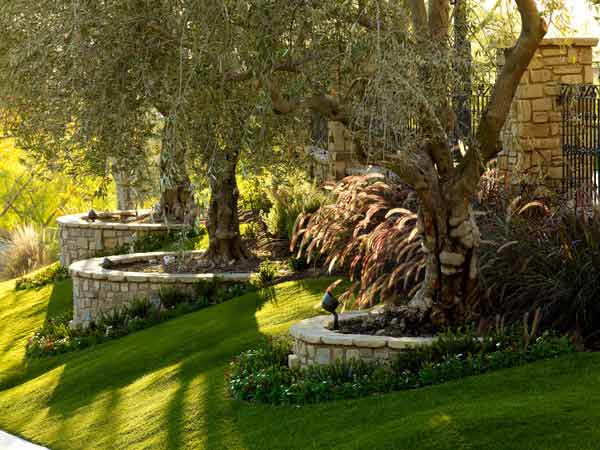How To Create An Eco-Friendly Landscape