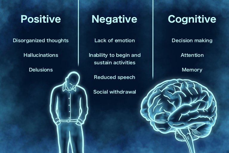 Disorganized Schizophrenia Brain