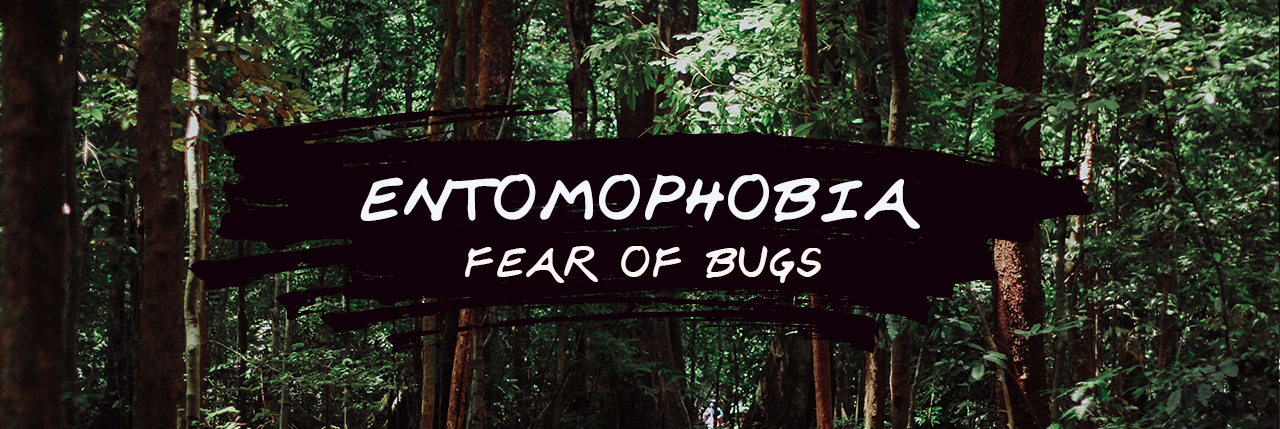 Entomophobia (The Fear of Bugs): Are You an Insectophobe?