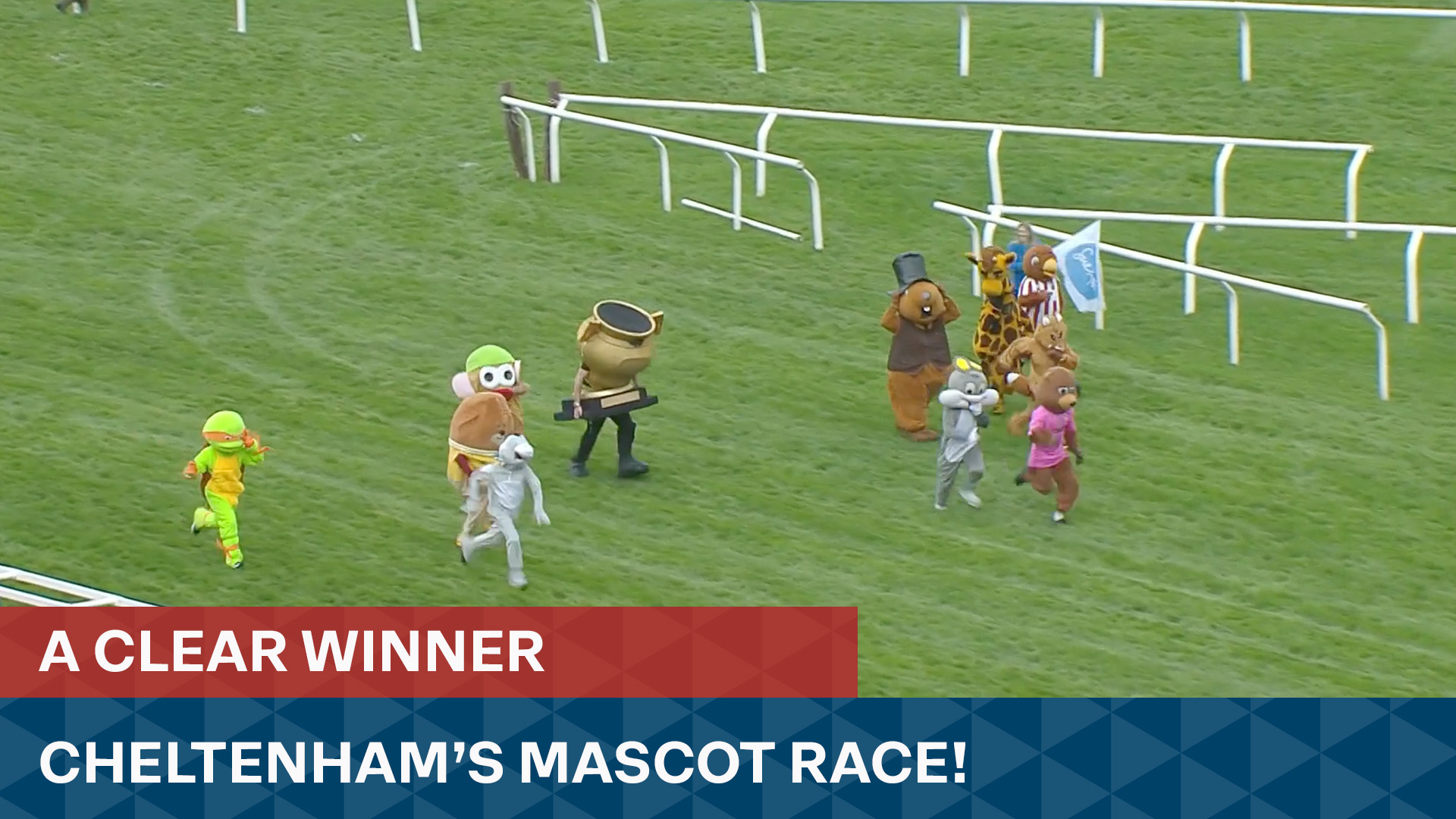Who will win the Mascot Race at Cheltenham? - Latest From ITV Sport
