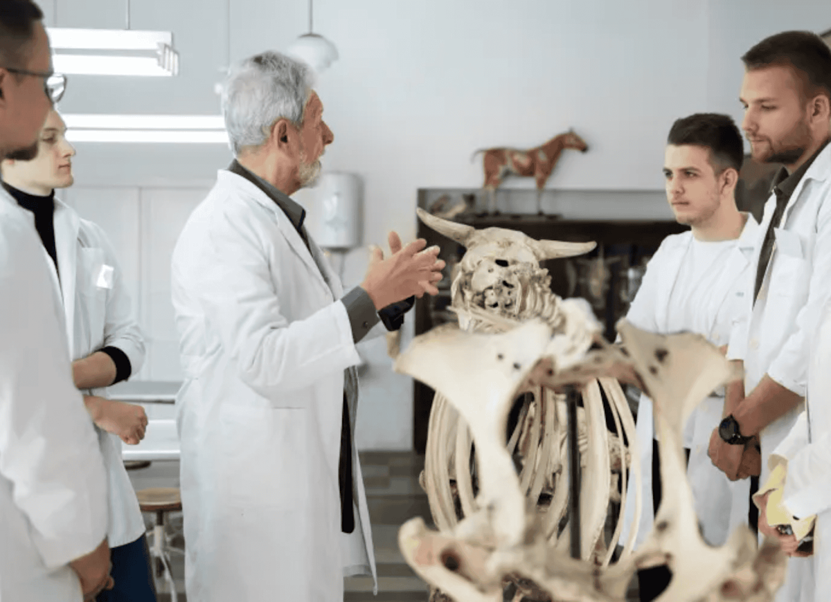 Author Q&A Comparative Veterinary Anatomy: A Clinical Approach