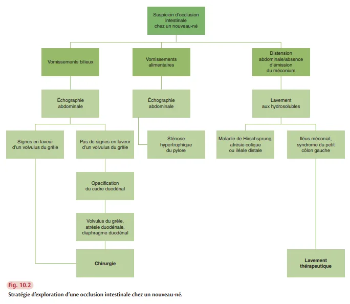 Occlusions intestinales aiguës