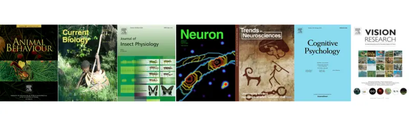 Classic Studies That Are Never Outdate Case Study from Elsevier