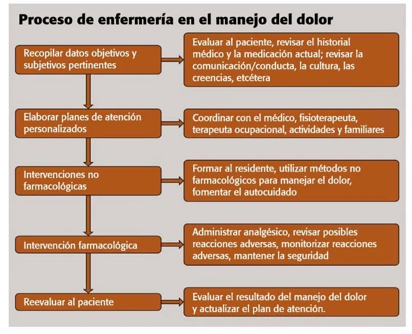 Proceso de enfermería en el manejo del dolor
