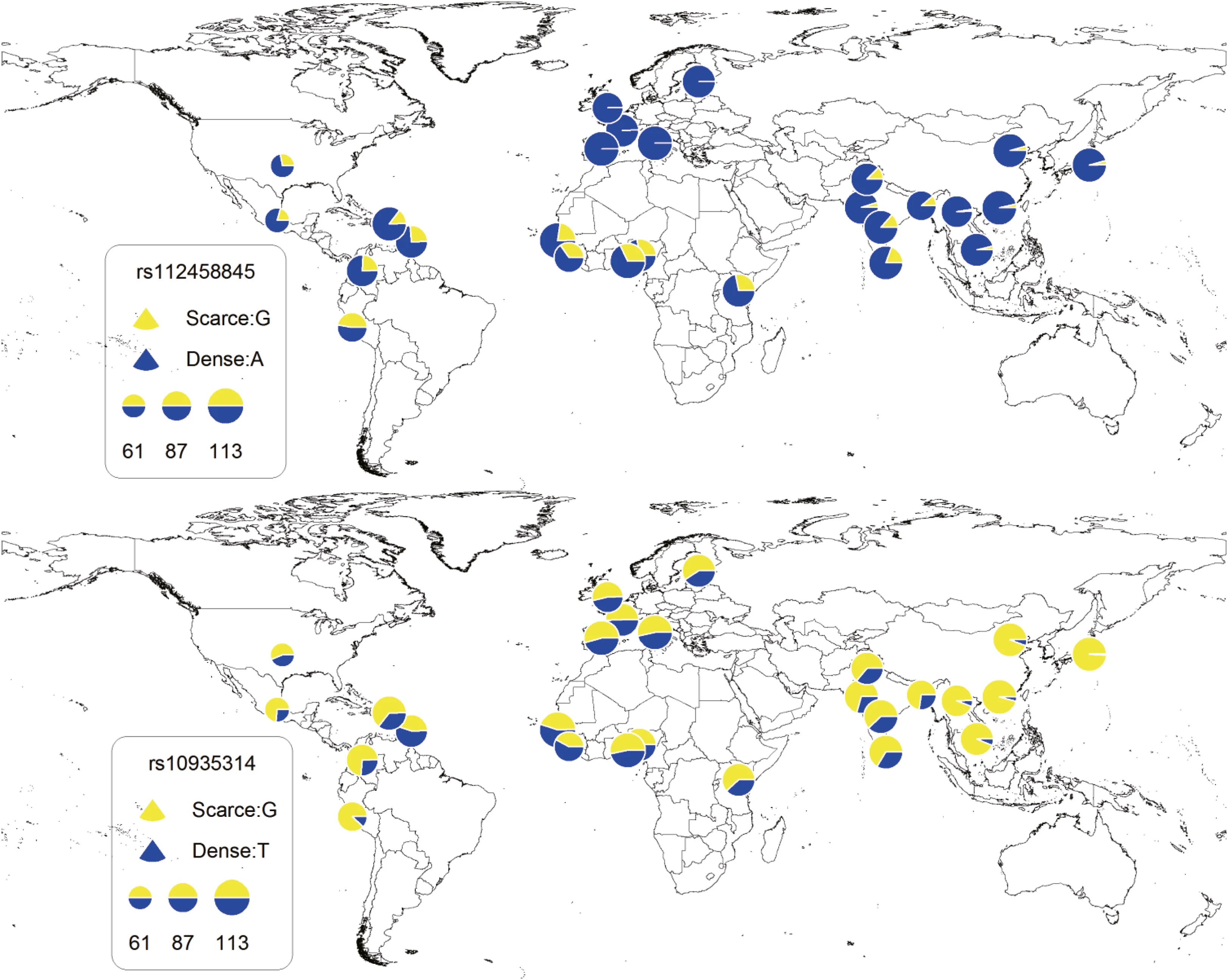 The look of your eyebrows is in your genes | Elsevier