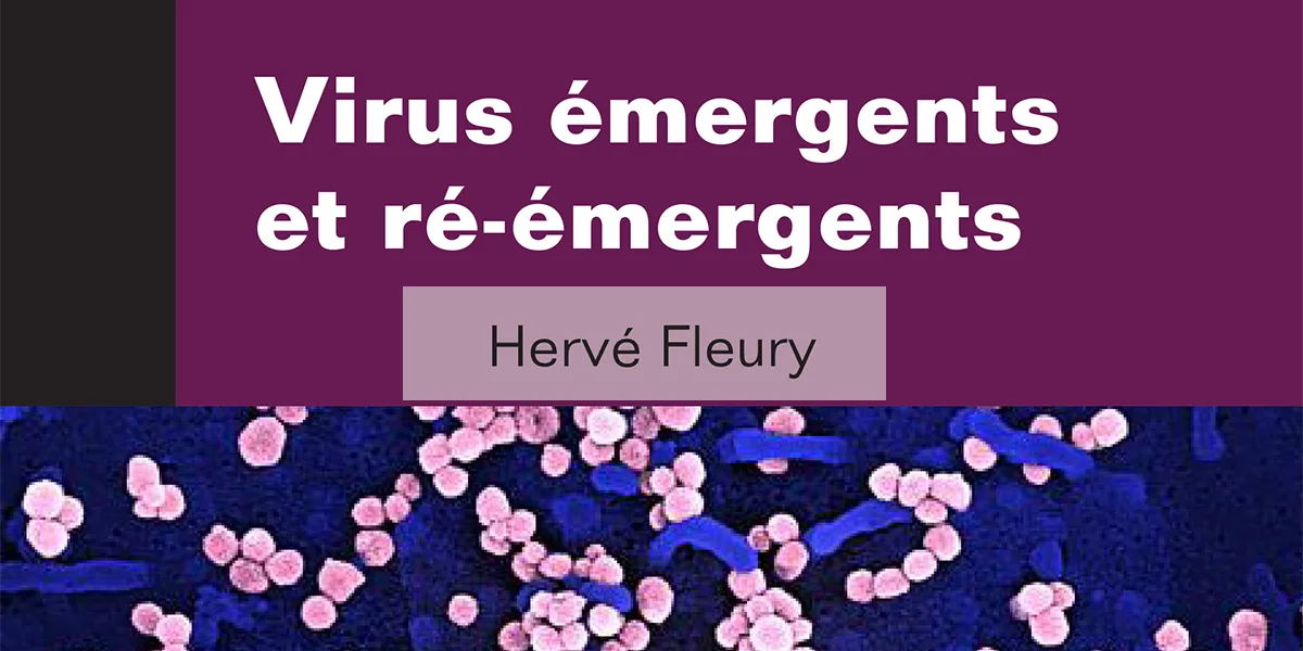 Le virus de la dengue