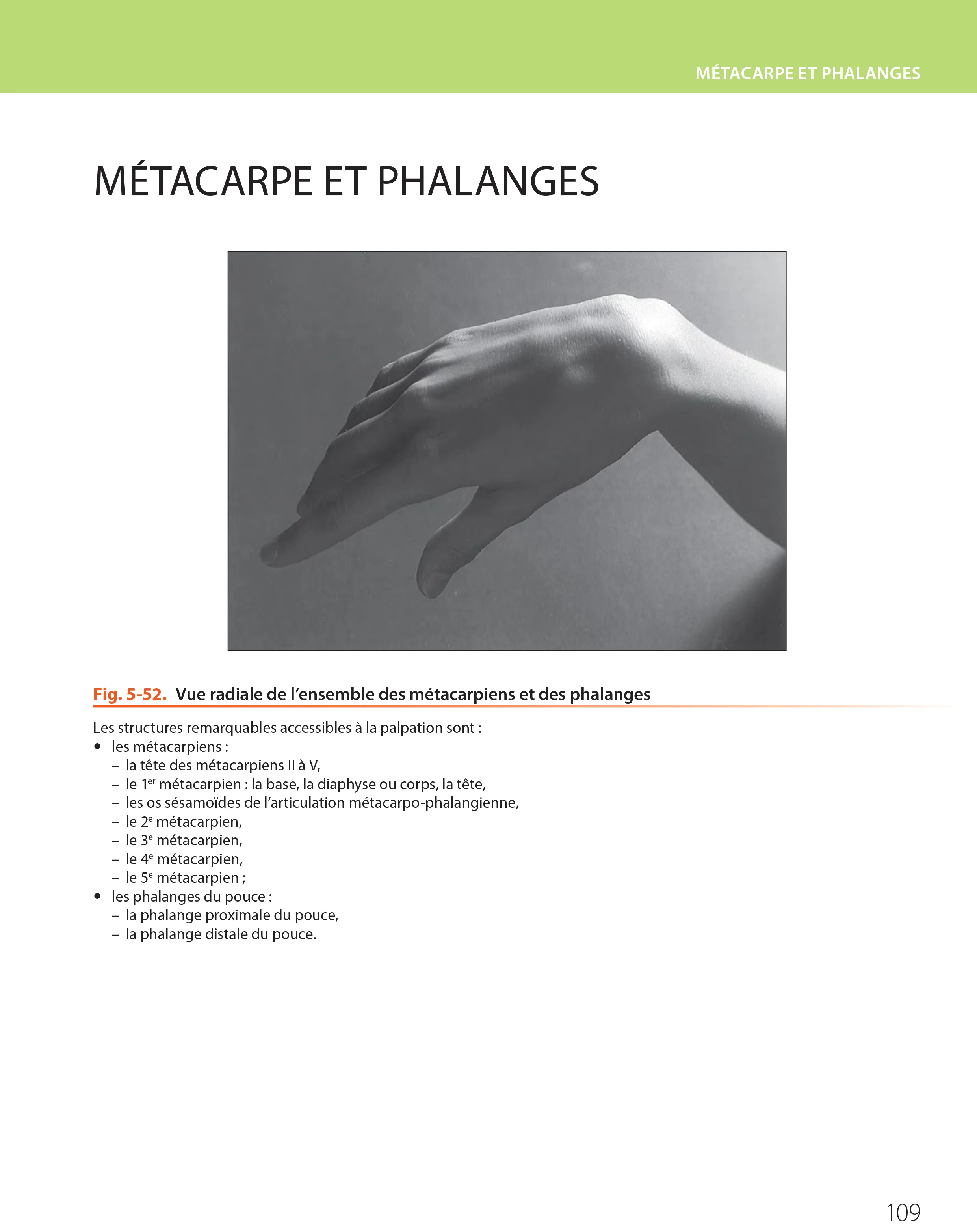 ATLAS d'anatomie palpatoire de Serge TIXA