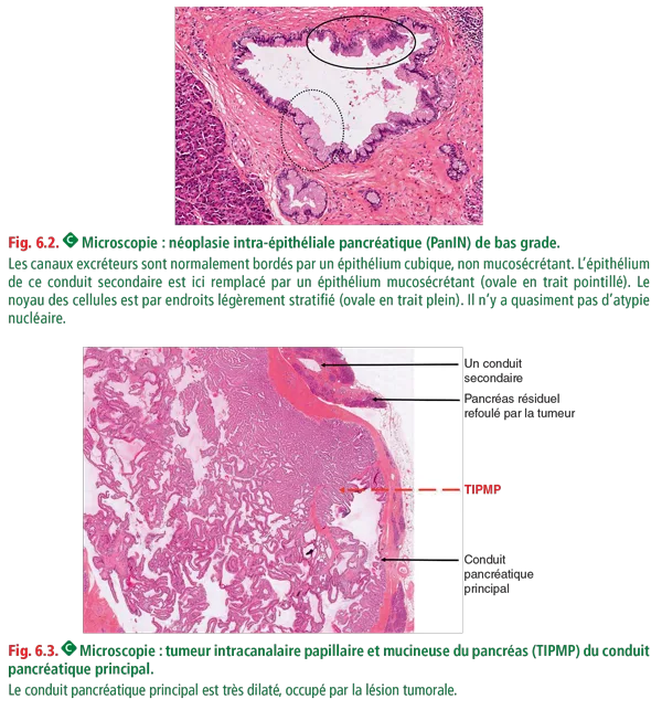 Référentiel Anatomie et cytologie pathologiques édition 2023