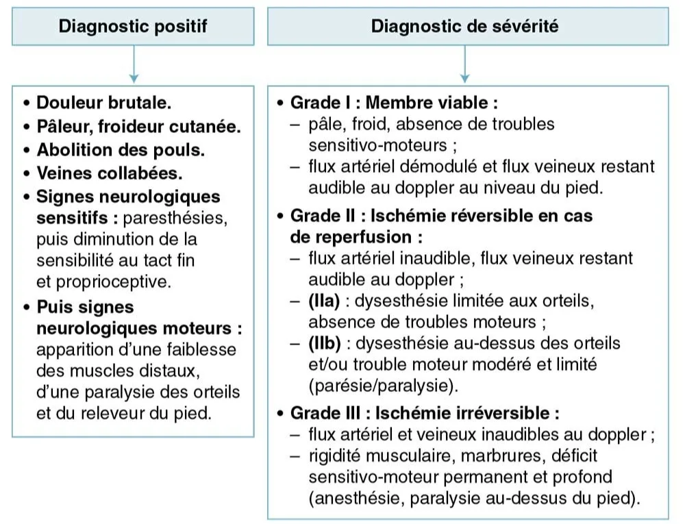 Le guide diagnostique et thérapeutique de la médecine vasculaire
