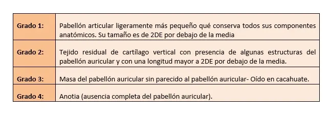 Todo lo que necesitas saber sobre la microtia, la malformación que ...