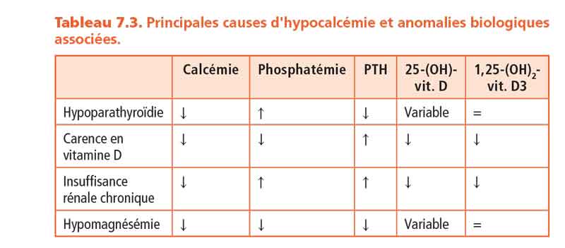 Les hypocalcémies
