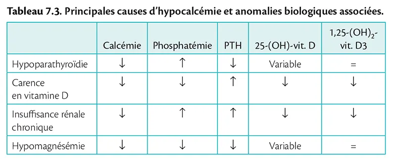 Quelle Est La Différence Entre Une Hypocalcémie Totale Et Une ...