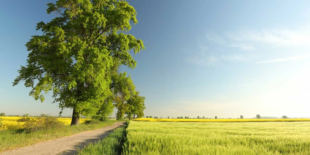 Vorteile von Famulaturen auf dem Land.