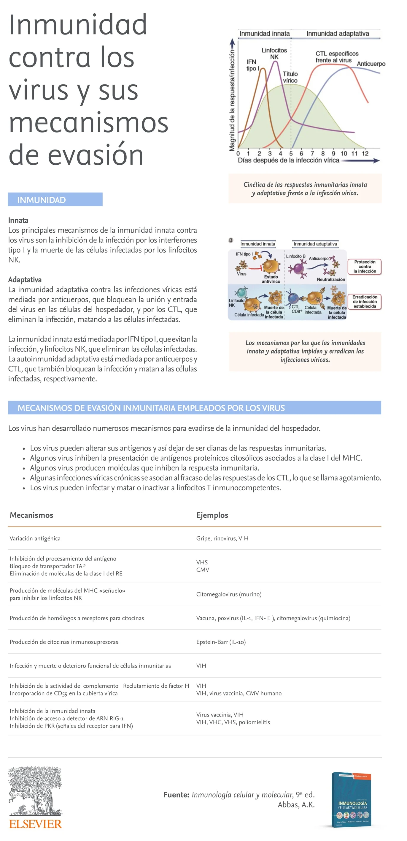 Inmunidad contra los virus y sus mecanismos de evasión