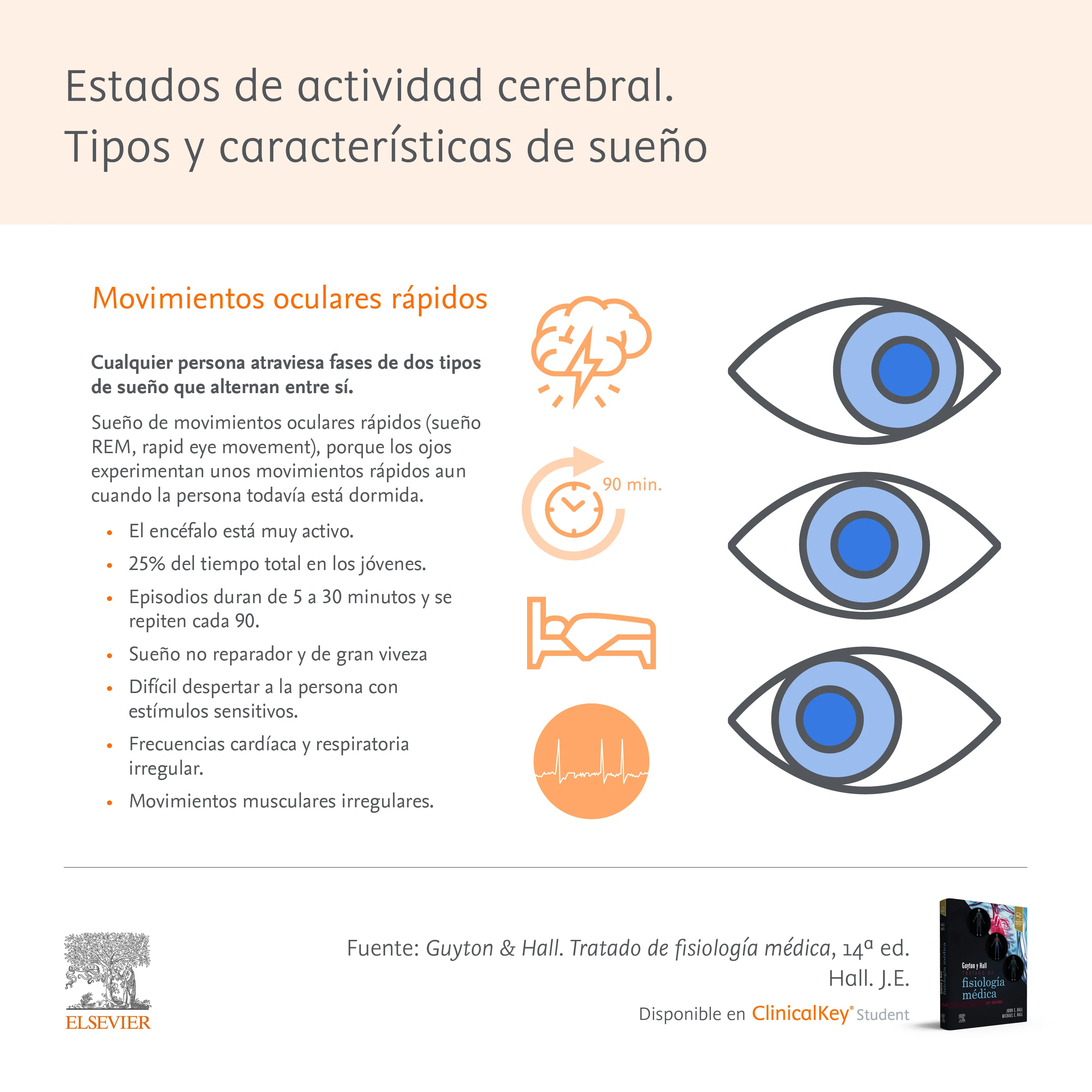 Sueño REM y Ondas Lentas: Características y Descripción según Guyton ...
