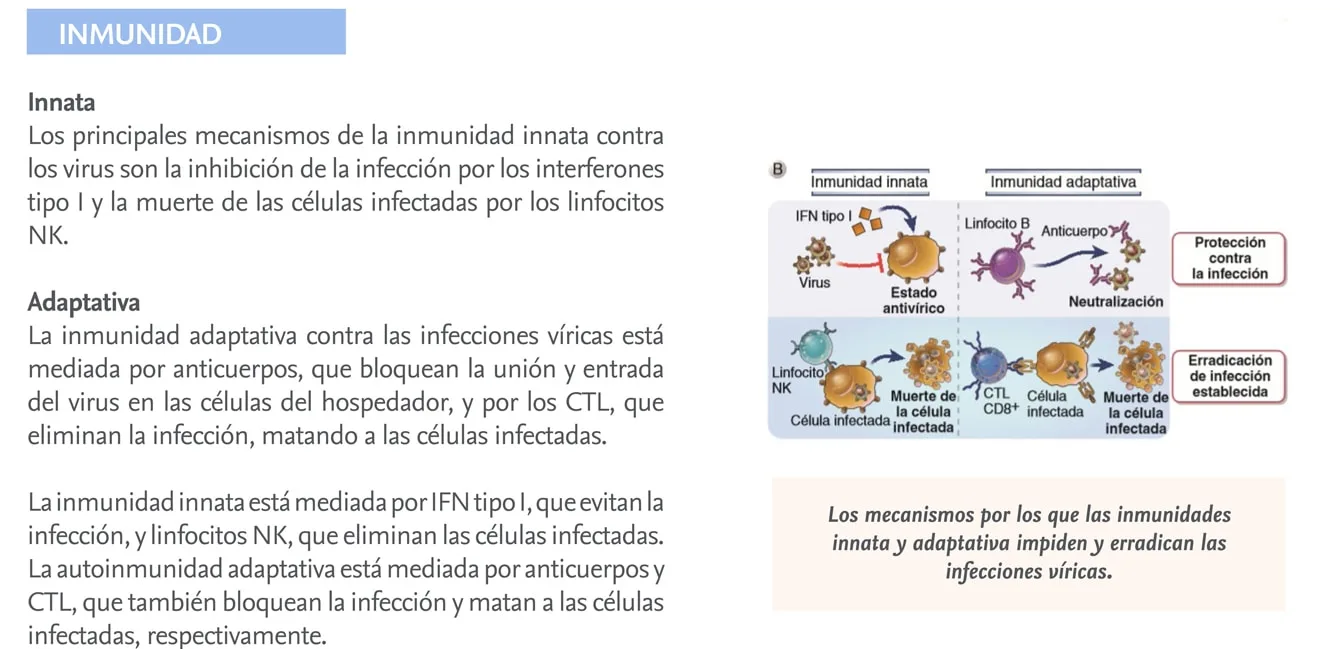 Inmunidad contra los virus y sus mecanismos de evasión