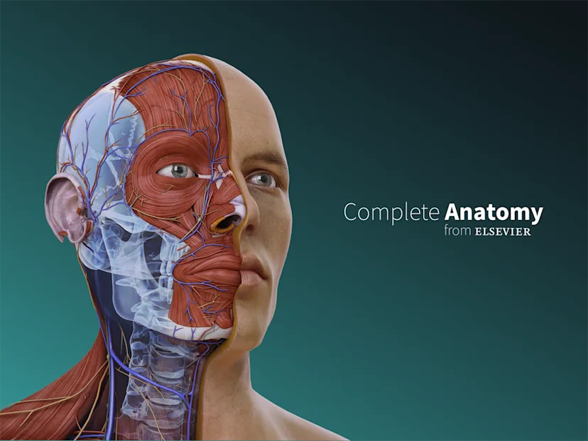 Lanzamiento De Complete Anatomy En Español Por Elsevier
