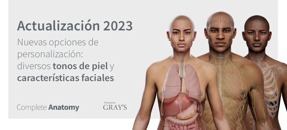 Complete Anatomy 2023 : Actualización para una mejor representación de ...