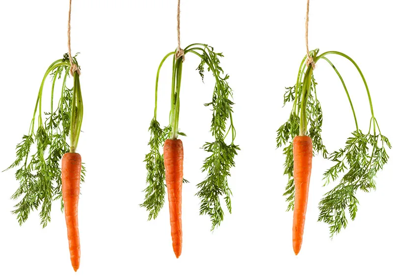 How to conduct a review | Elsevier