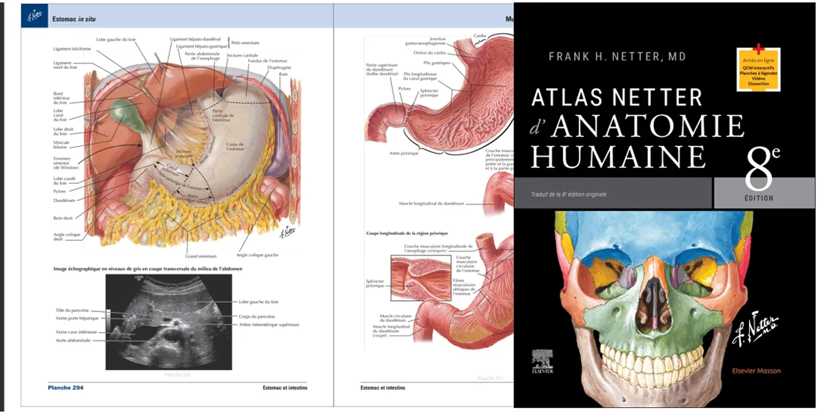 Atlas Netter d'anatomie humaine 8e édition