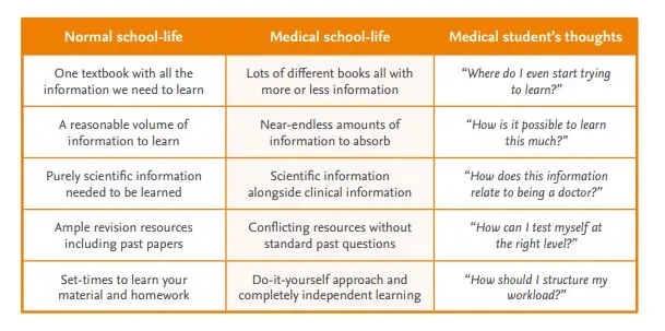 Study Success - A Guide for Med Student