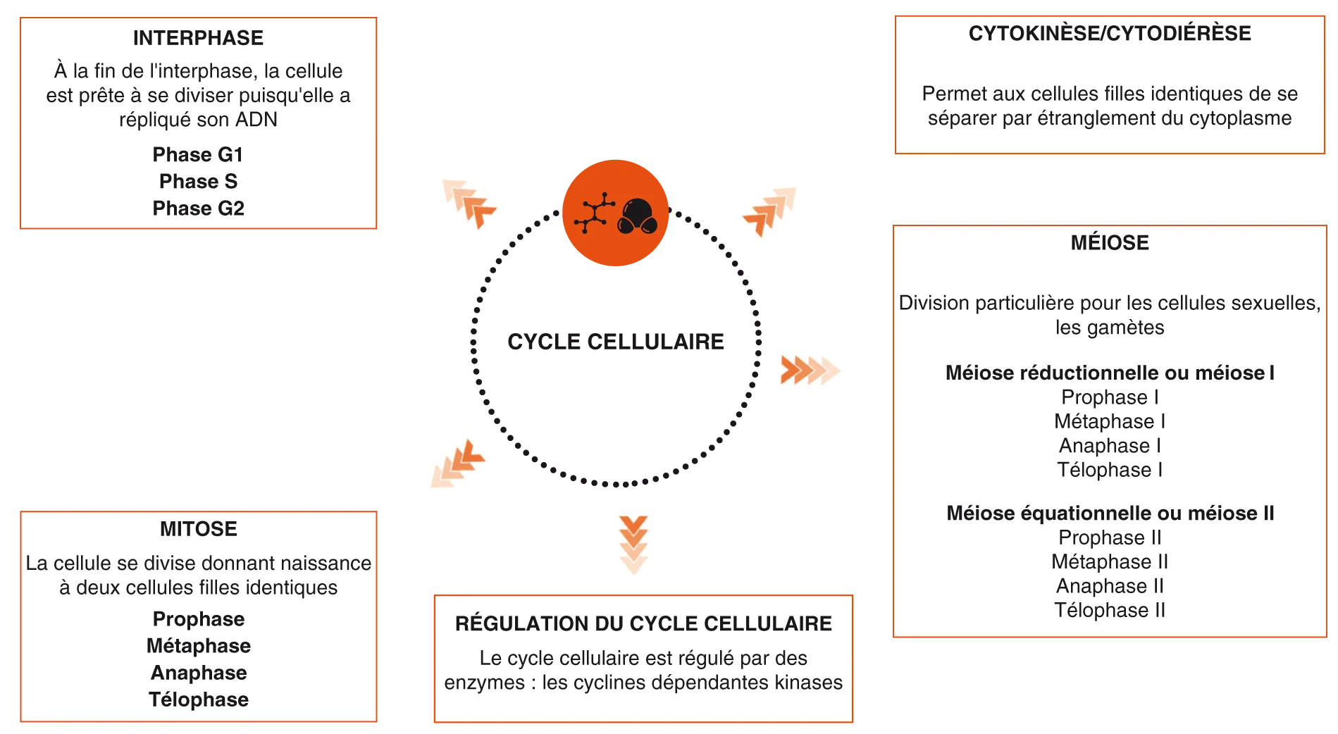 Apprentissage Complet : Semestre 1 IFSI
