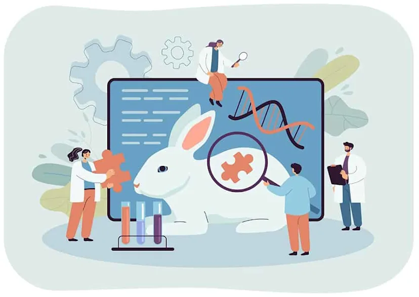 Solutions for Medical Device R&D | Elsevier