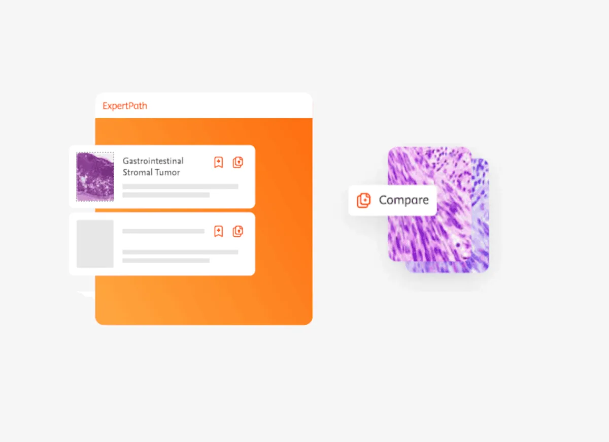 Step forward: Dr Mark Wickham, Diagnostic Surgical Pathologist (ANZ)