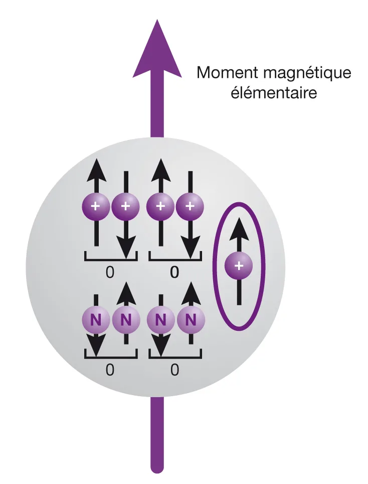 Magnétisme nucléaire