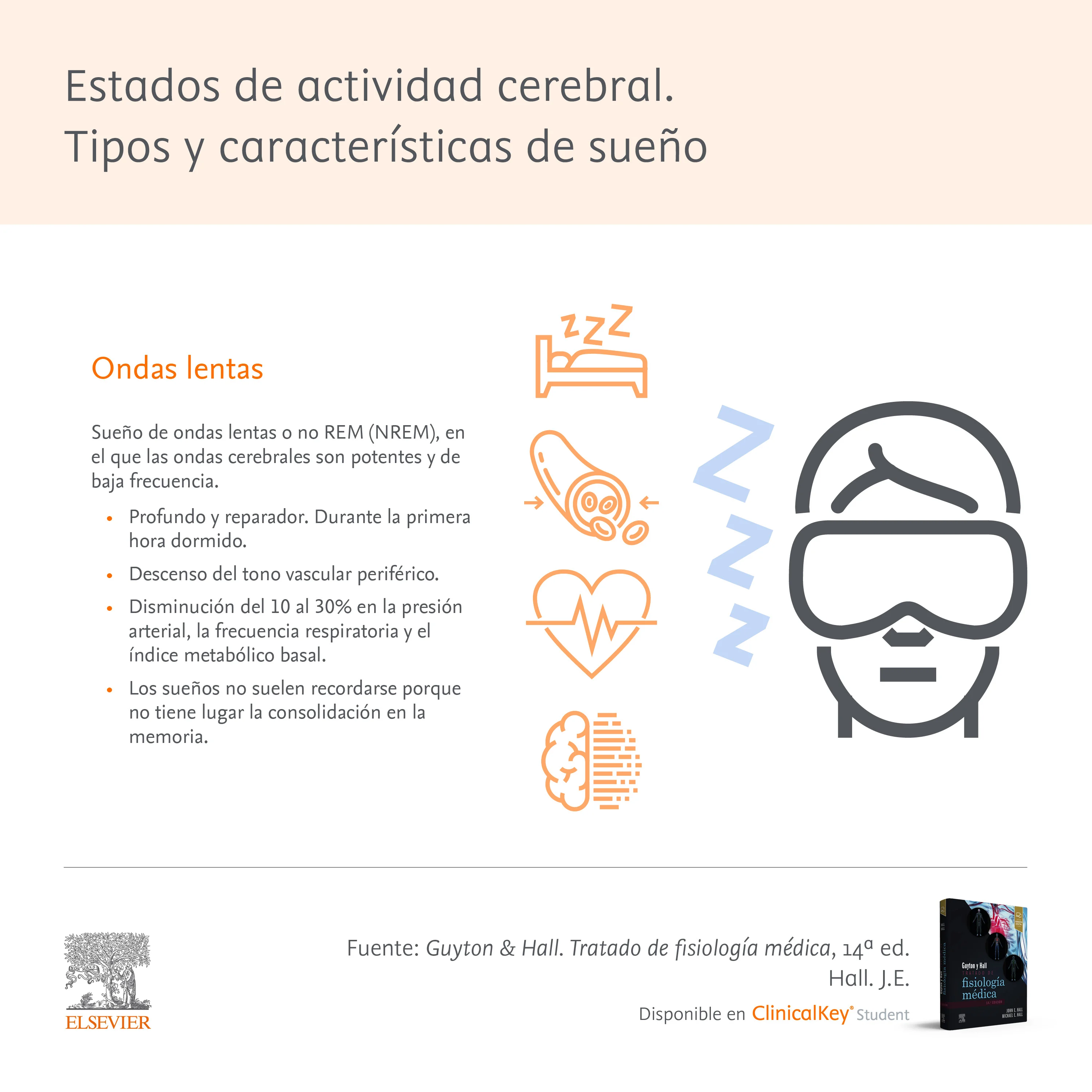 Sueño REM y Ondas Lentas: Características y Descripción según Guyton ...