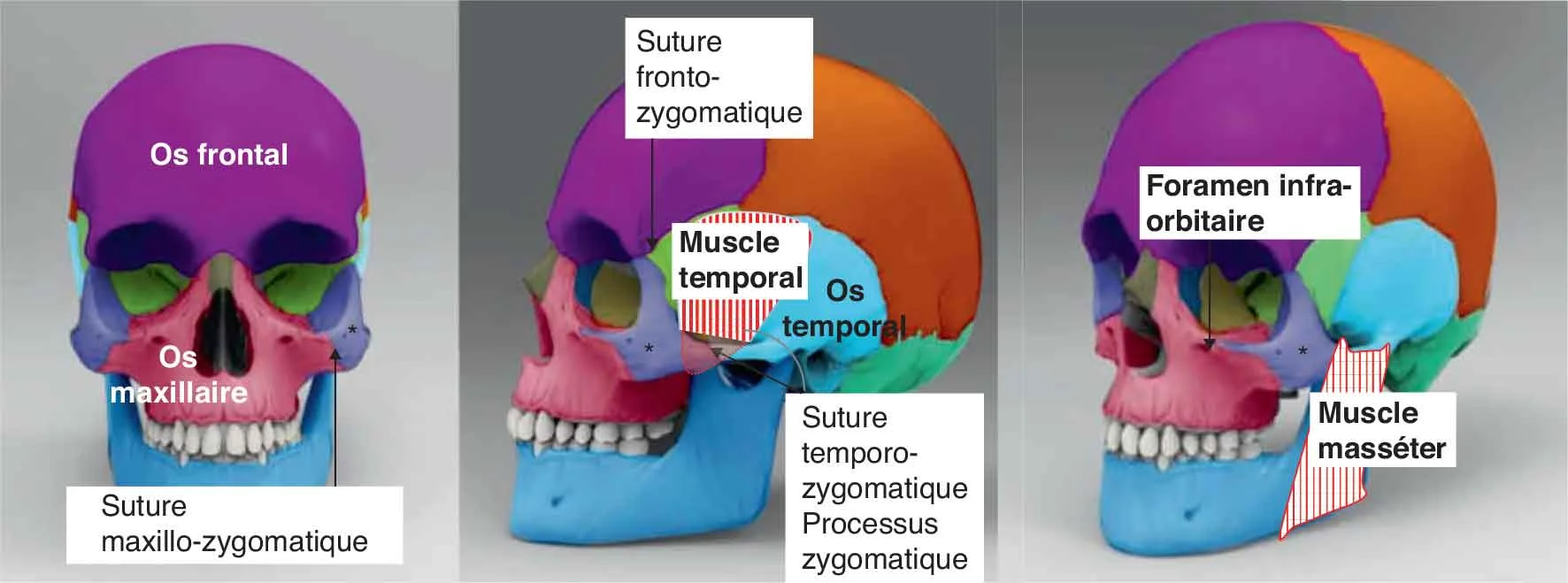 Nouveau Collège CMF édition 2024