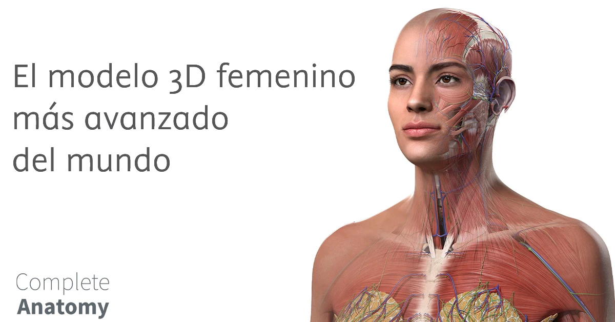 Complete Anatomy presenta un modelo 3D detallado de la anatomía femenina.