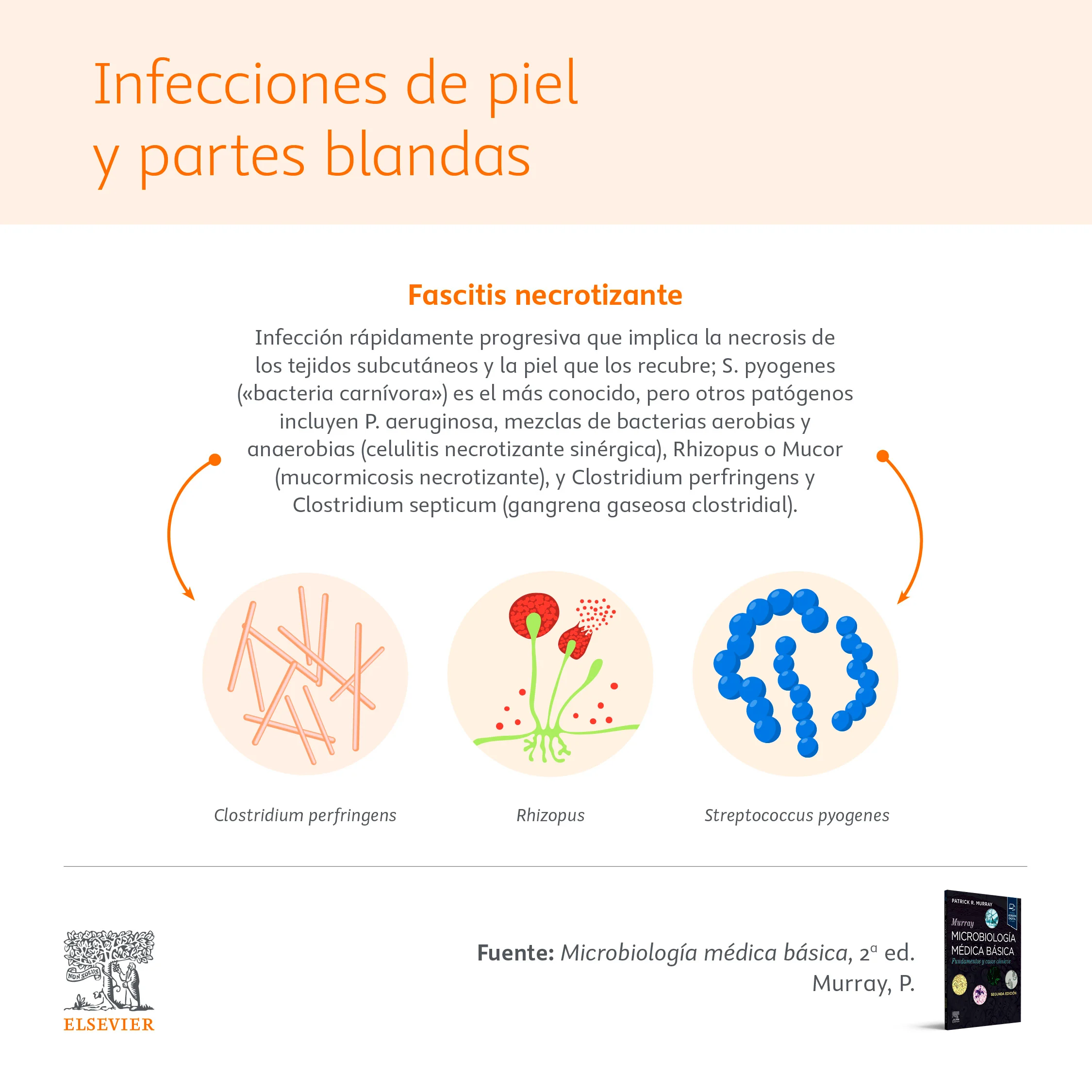 Infecciones de la piel y partes blandas