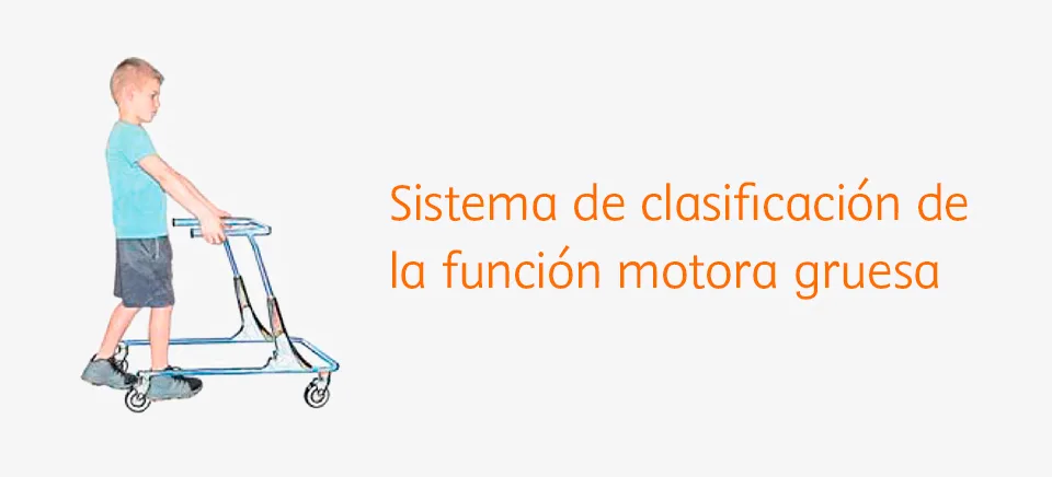 Clasificación de la Parálisis Cerebral.
