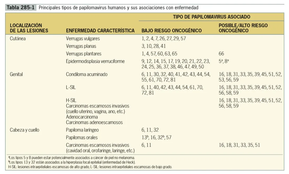 Papilomavirus Humanos: Características y Referencia en Medicina Interna.