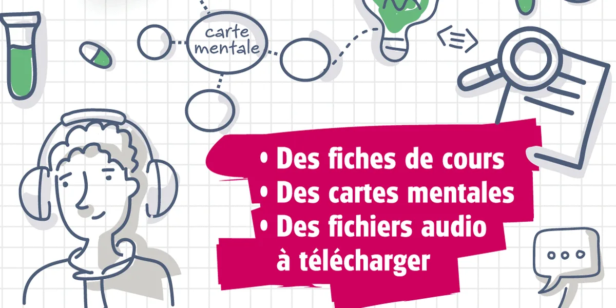 Apprentissage Complet : Semestre 1 IFSI