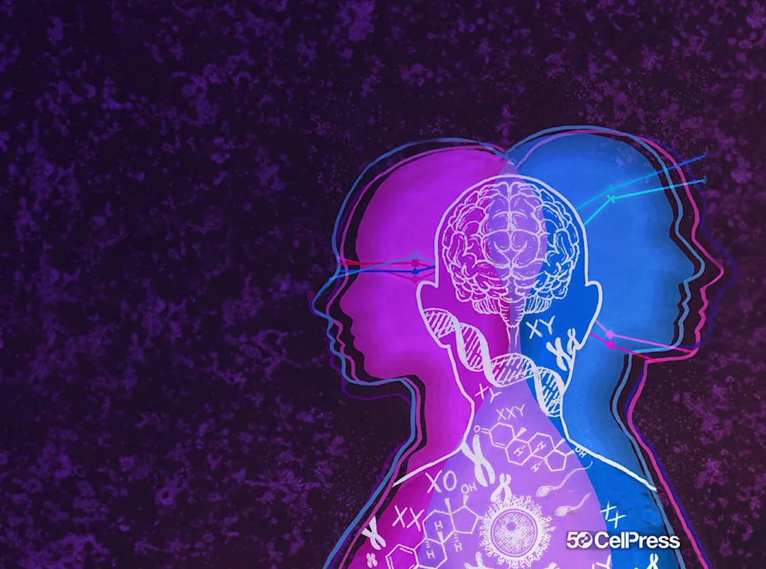 Elsevier | An Information Analytics Business