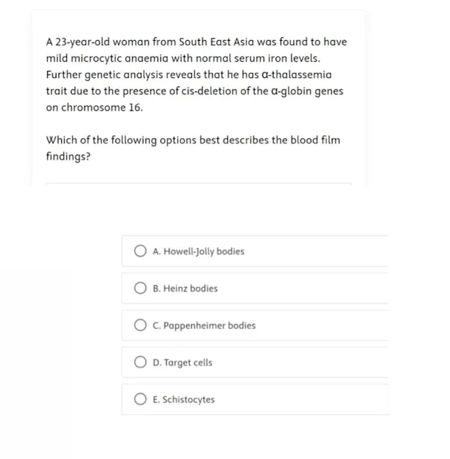 Your UKMLA exam essentials: free guide and resources for medical students!