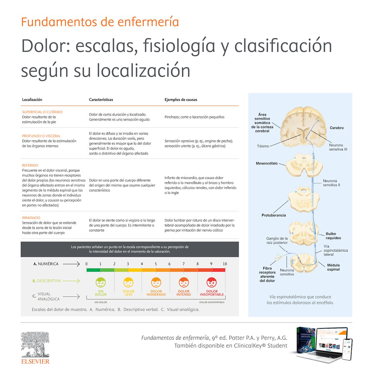 Escala De Dolor Universal Imprimible