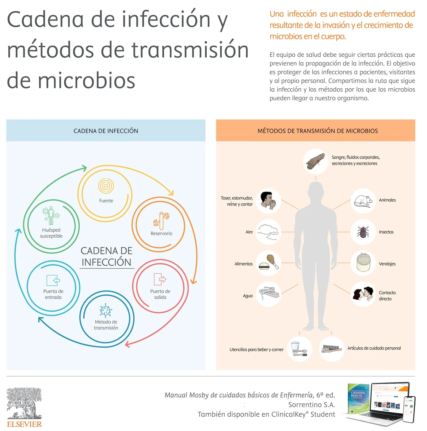 Cadena de infección y métodos de transmisión de microbios