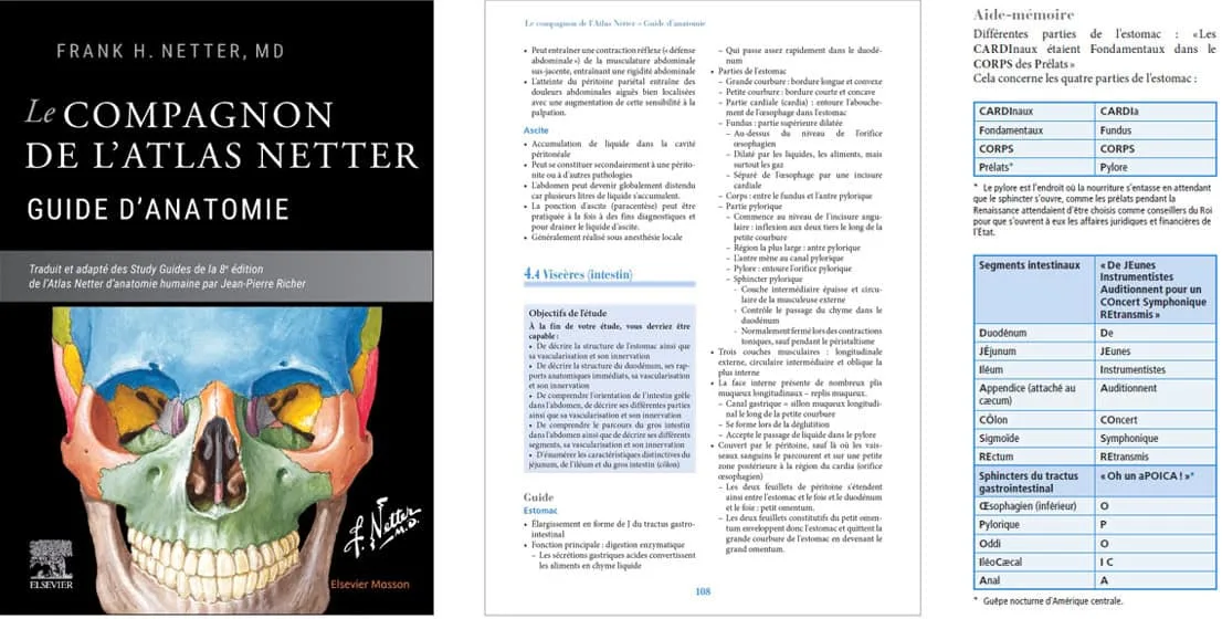 Le compagnon de l'atlas Netter Guide d'anatomie