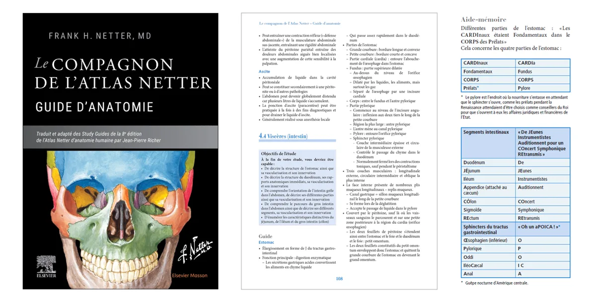 Le compagnon de l'atlas Netter Guide d'anatomie
