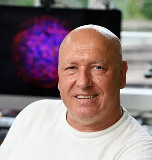 Exploring the newest alternative to animal testing: brain organoids