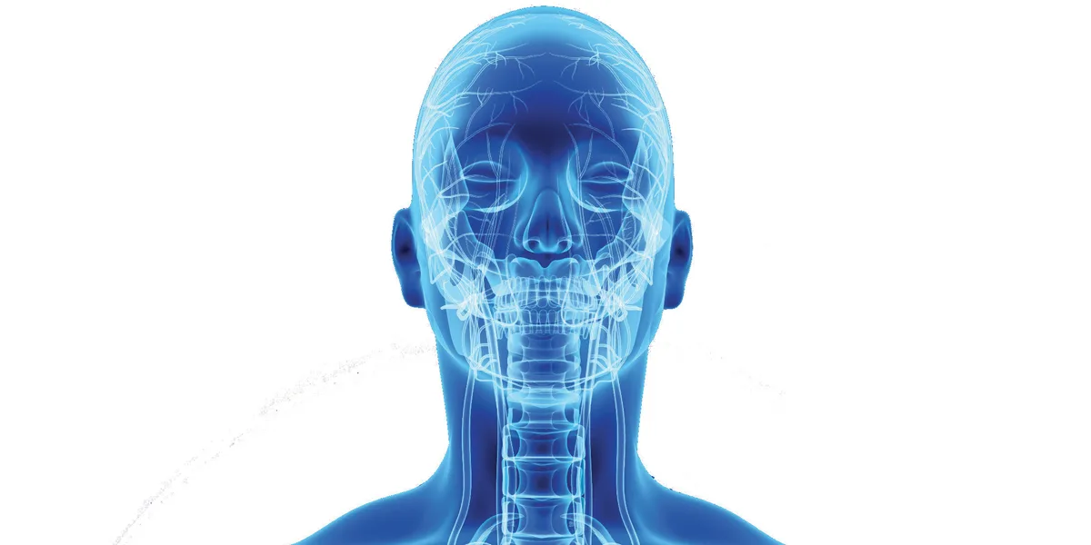 Physiologie humaine et physiopathologie